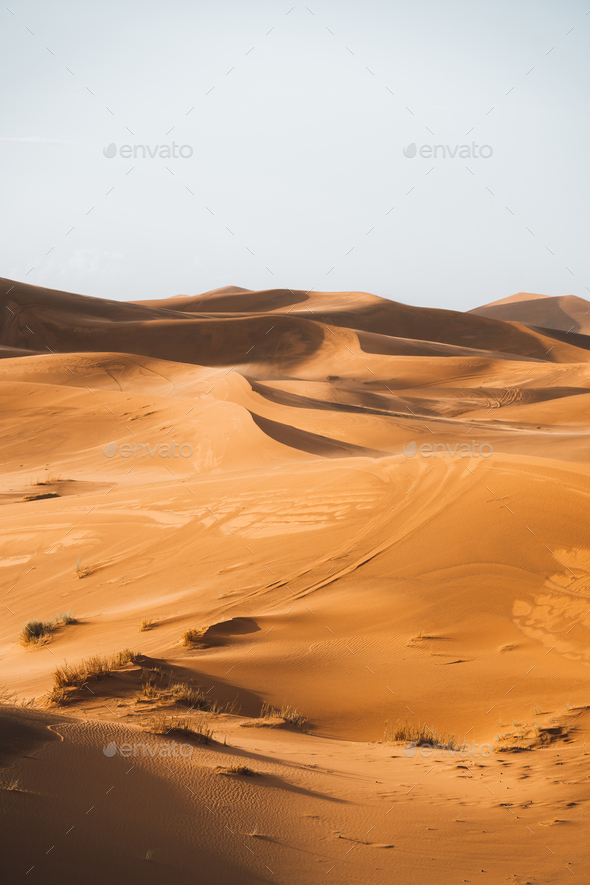 Sand texture in Morocco Sahara Merzouga Desert portrait oriented Stock ...