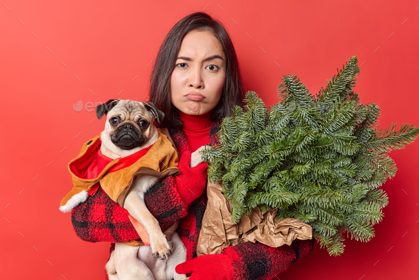 Displeased young Asian woman looks with sullen expression holdspug dog ...