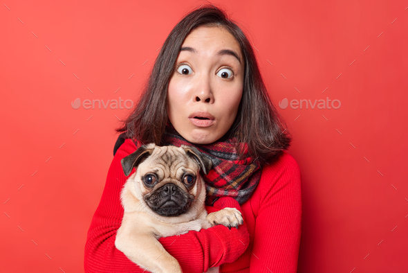 Horrified emotional young Asian woman carries pug dog stares bugged ...