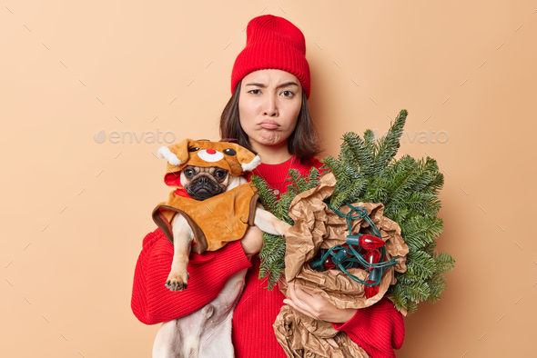 Sullen displeased young Asian woman has bad mood poses with pug dog ...