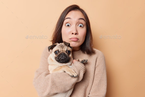 Indoor shot of impressed young Asian woman poses with pug dog shocked ...