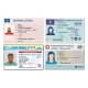 Driver License Banner Horizontal Set Flat Style, Vectors | GraphicRiver