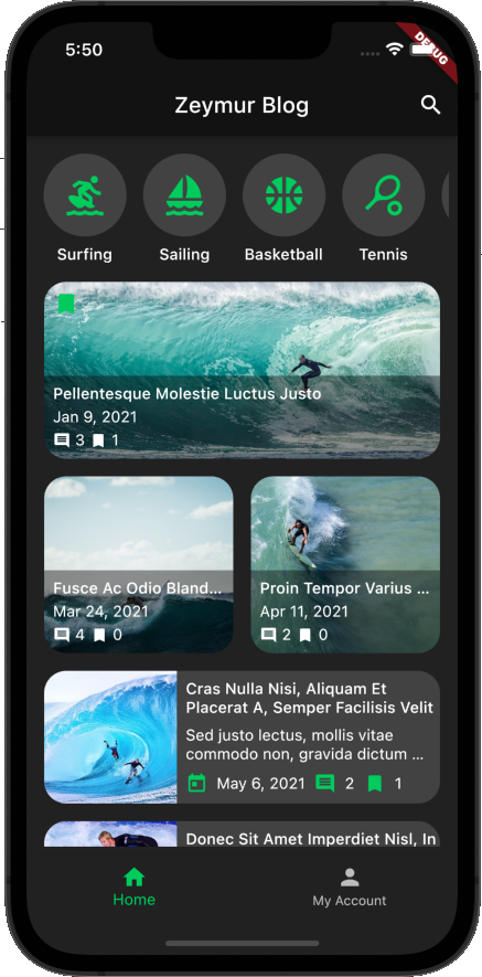 Blog App Ui Template For Flutter By Zeymur Codecanyon