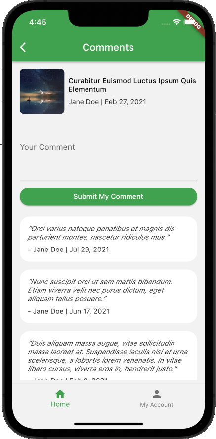 Blog App Ui Template For Flutter By Zeymur Codecanyon