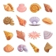 Sea Shell Beach Icons Set Cartoon Style, Vectors | GraphicRiver