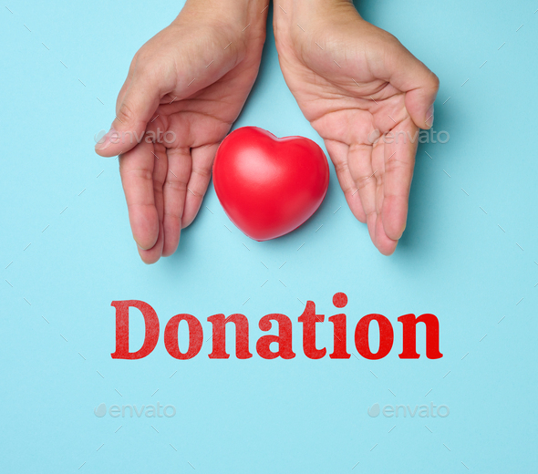 Female hands holds red heart, blue background. Love and donation ...