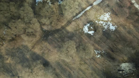 City park in spring. Spring cityscape. Aerial photography., Stock Footage