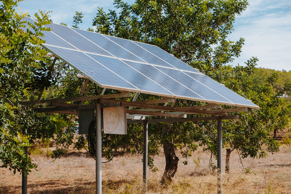 Solar panels in a park absorbing the sun rays for generating ...