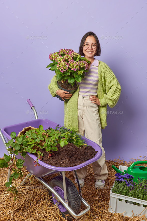 Happy Asian female gardener poses with pot of flowers busy replanting ...