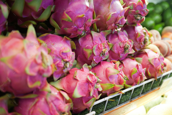 dragon fruit display for sale at local store Stock Photo by towfiqu98