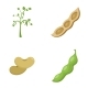 Soybean Soy Beans Seed Icons Set Flat Style, Vectors | GraphicRiver