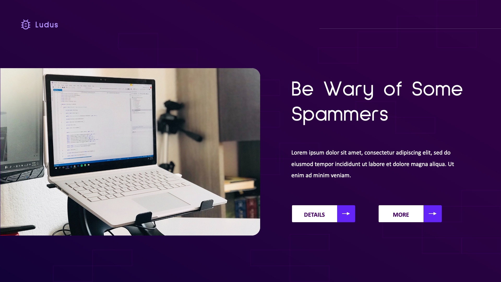 Ludus - Malware Analysis Presentation Google Slides, Presentation Templates