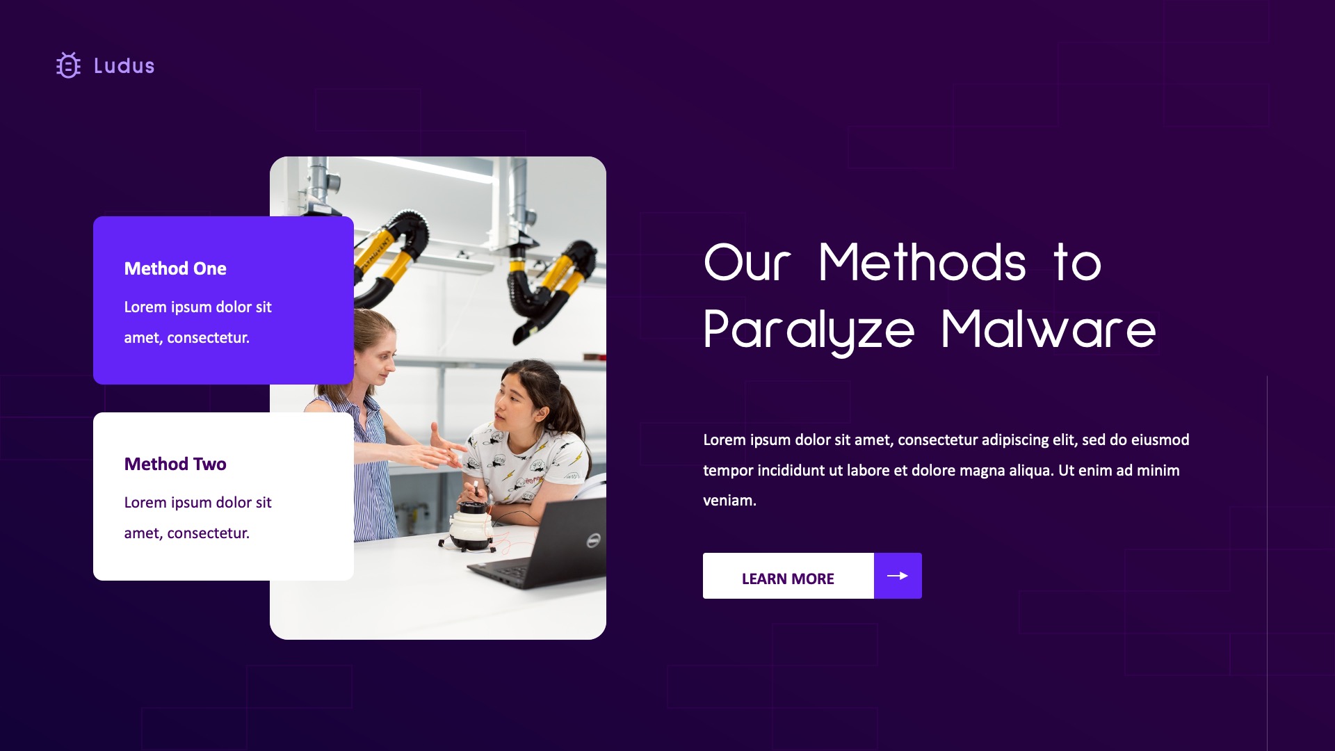 Ludus - Malware Analysis Presentation Google Slides, Presentation Templates