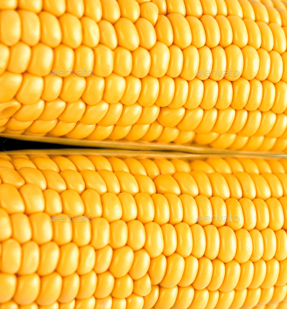 close-up corn Stock Photo by ozaiachin | PhotoDune