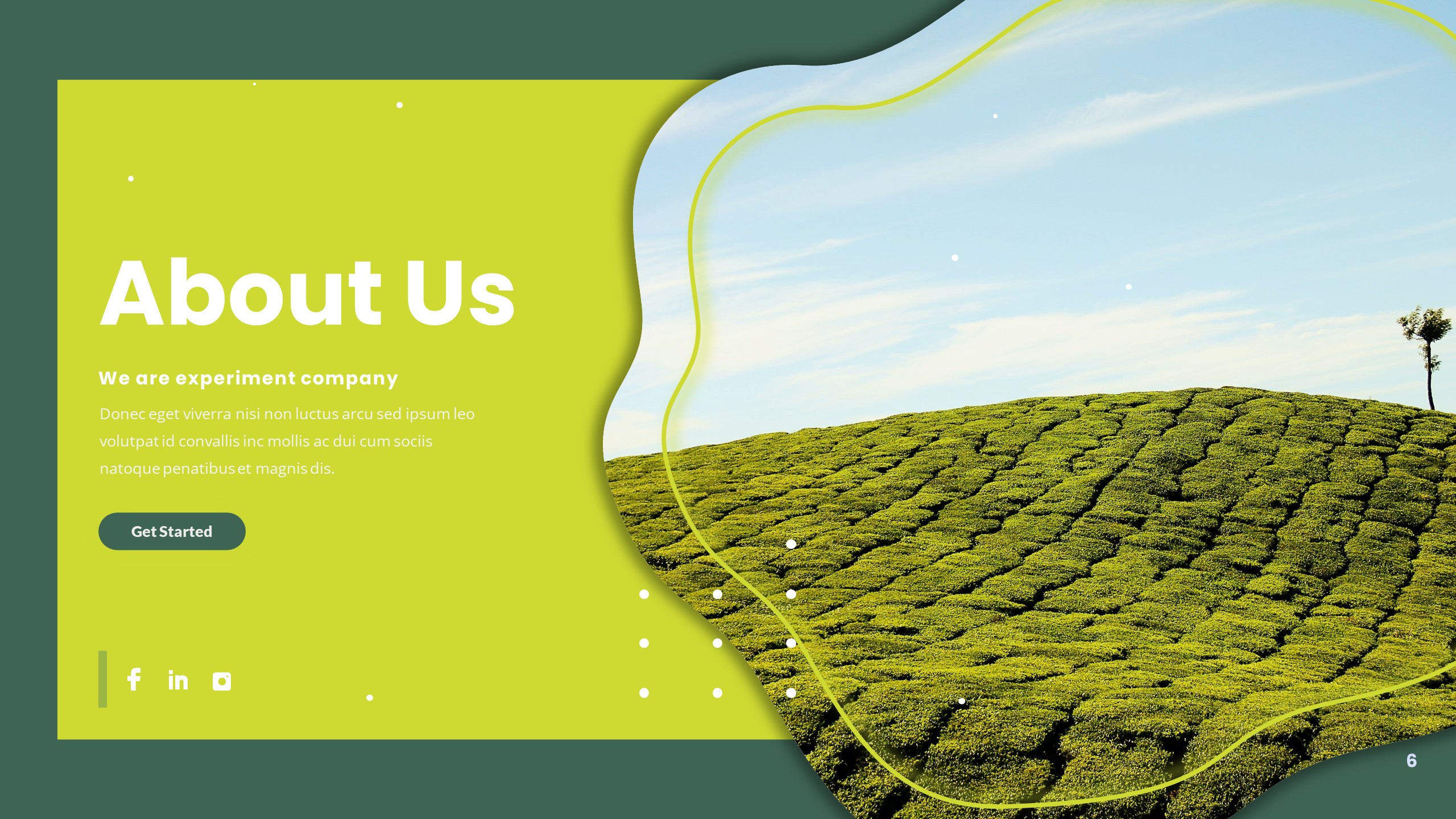 Soft Green - PowerPoint Presentation Template, Presentation Templates