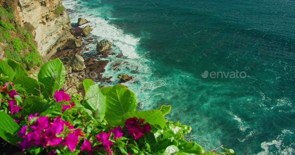 Colorful flowering beachfront of Uluwatu Temple Bali Island Indonesia ...