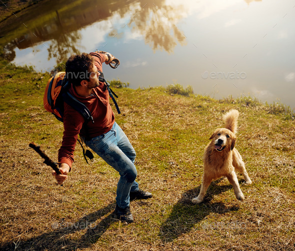 Fetch. Full length shot of a handsome young man playing fetch with his ...