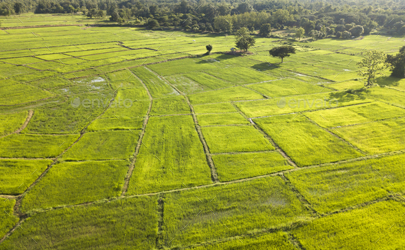 Rice Terrace Aerial Shot. Image of beautiful terrace rice field ...