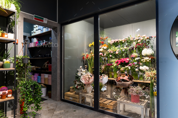stylish flower shop interior with potted plants and fridge for premium ...