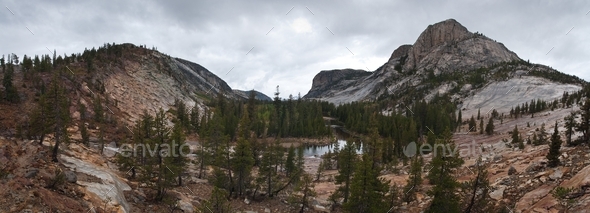Muir valley covered with greenery under a cloudy sky in the Yosemite ...