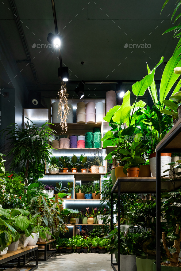 interior of a floristic shop selling potted plants and bouquets in loft ...