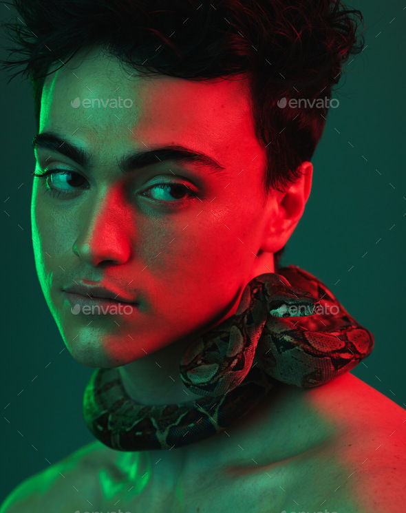 Beauty, snake and model in a studio with neon light of green and red ...