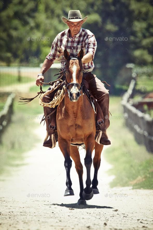 Yeeha. A cowboy on his horse. Stock Photo by YuriArcursPeopleimages