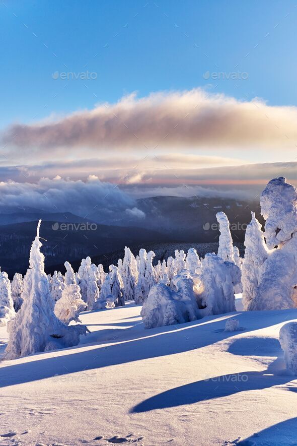 Beautiful scenery of a forest landscape covered fully in white snow in ...