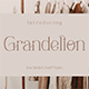 Grandelion Font, Fonts | GraphicRiver