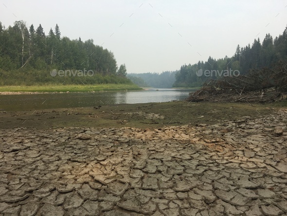Dry riverbed, the St. Lawrence river surrounded by high green trees in ...