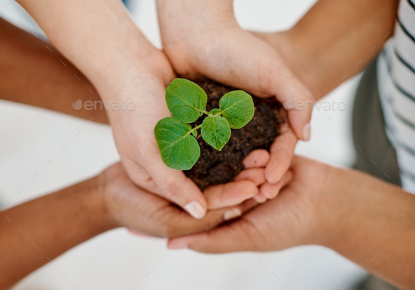Were helping each other grow in this business Stock Photo by ...
