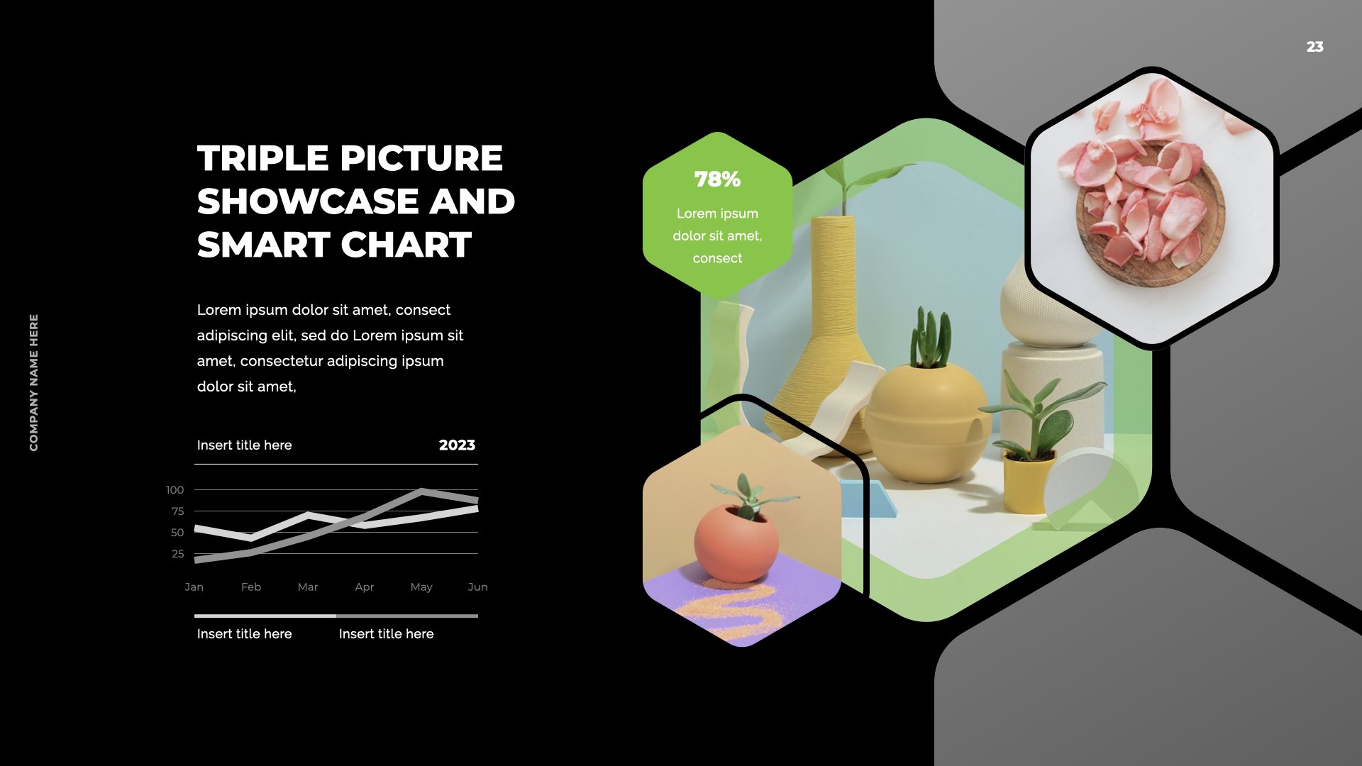 HEX Animated PowerPoint Template, Presentation Templates | GraphicRiver
