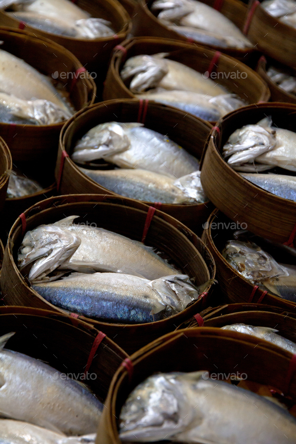 Mackerel fish in local market Stock Photo by osbmxhouse | PhotoDune