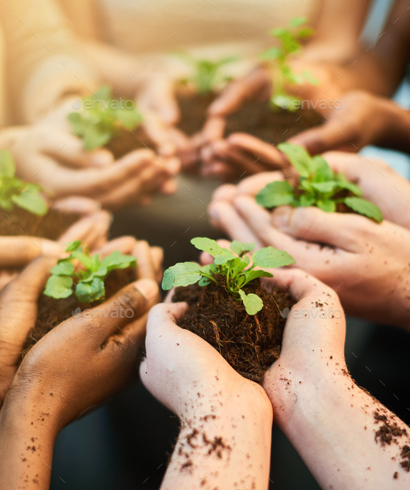Fostering the future together. Shot of a group of people each holding a ...
