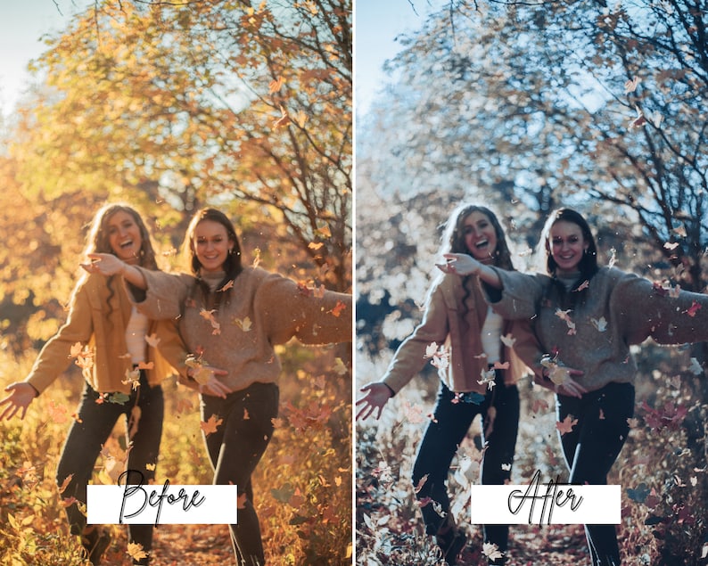 47 Dark Lightroom Presets, Add-ons | GraphicRiver