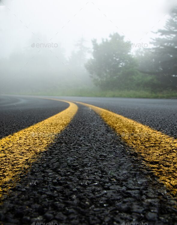 Low angle shot of yellow asphalt line on the foggy road with trees ...