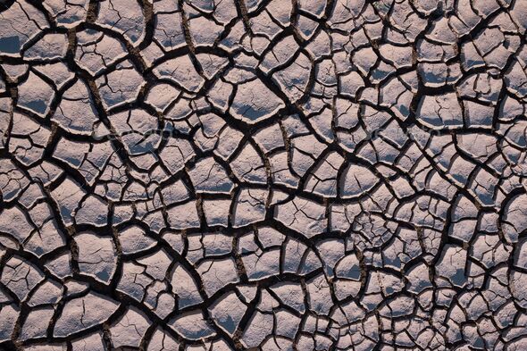Dry cracked ground. Top view. Arid land, drought. Stock Photo by wirestock