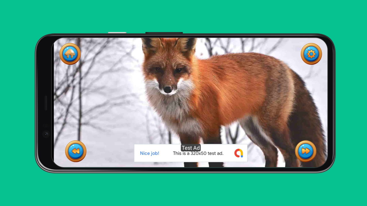 Animal World - Animal Games for kids by webgradle | CodeCanyon