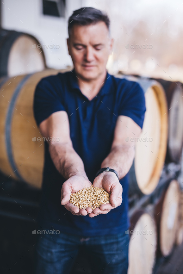 Man in brewery showing malt for craft beer production. Stock Photo by ...