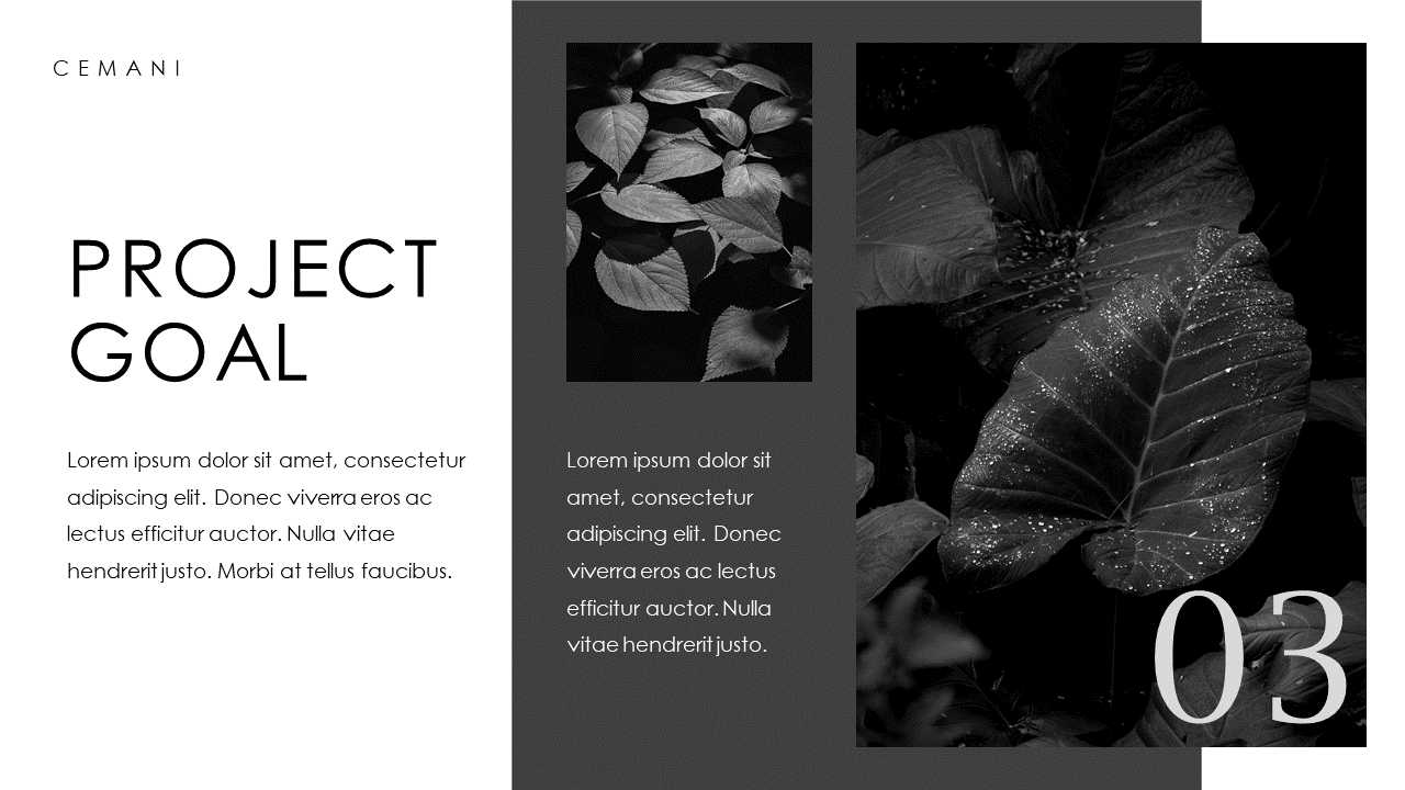 CEMANI - Creative Project Presentation Template, Presentation Templates