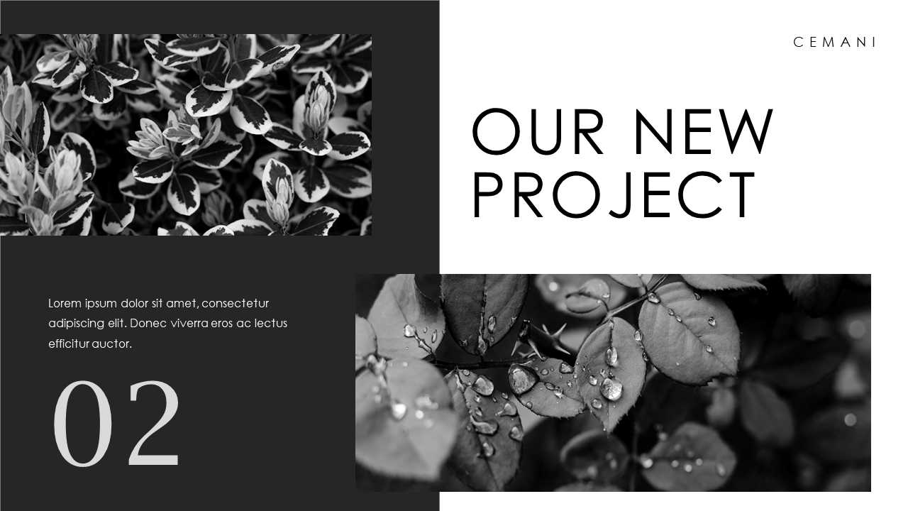 CEMANI - Creative Project Presentation Template, Presentation Templates