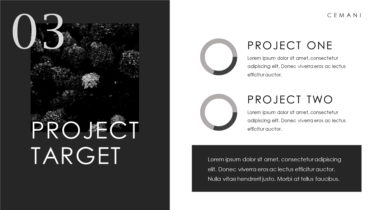 CEMANI - Creative Project Presentation Template, Presentation Templates