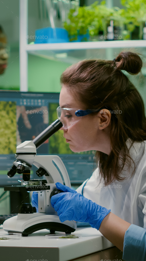 Biologist taking leaf sample putting into microscope Stock Photo by DC ...