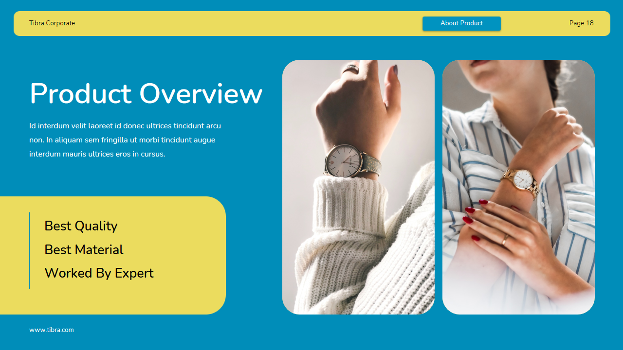 Tibra - Pitch Deck For Investor, Presentation Templates | GraphicRiver