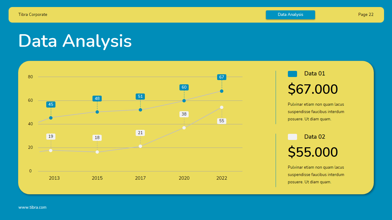 Tibra - Pitch Deck For Investor, Presentation Templates | GraphicRiver