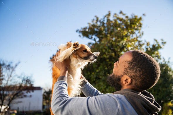 Portrait of a dog raised by his owner. Dog and person friendship ...