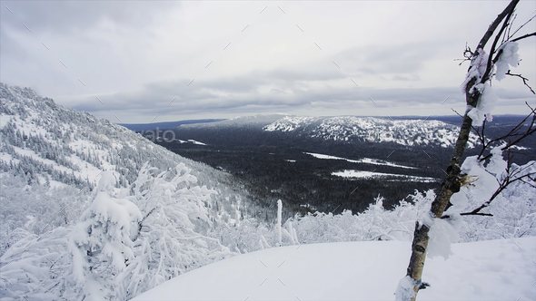Winter landscape snow background with trees Harsh winter scenery with ...