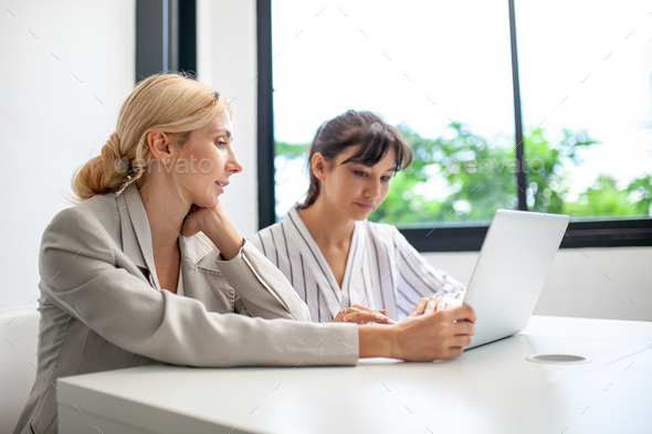 business team female colleagues talking at work share ideas with laptop ...