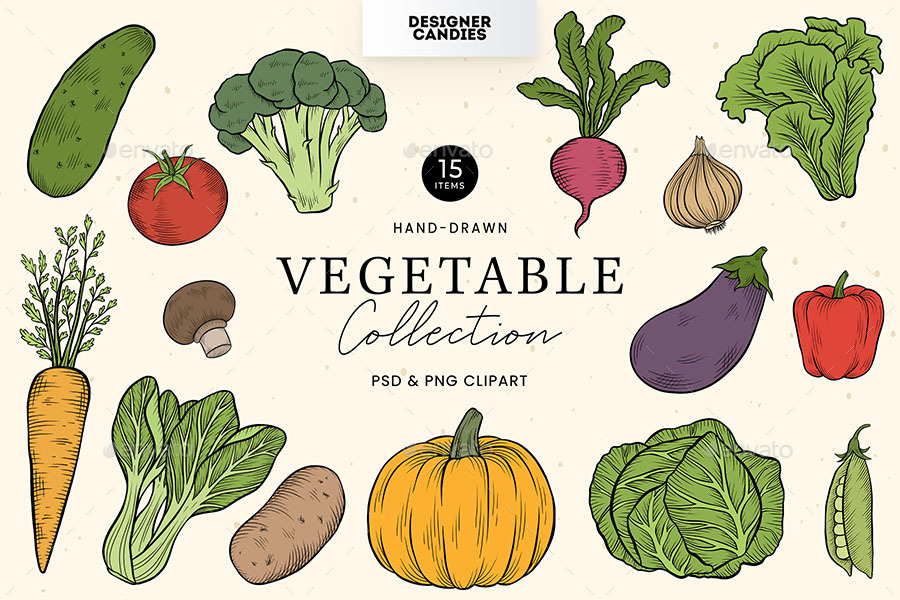 Vegetable Clipart Illustrations, Graphics | GraphicRiver