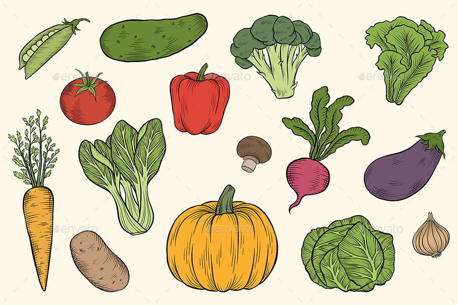 Vegetable Clipart Illustrations, Graphics | GraphicRiver